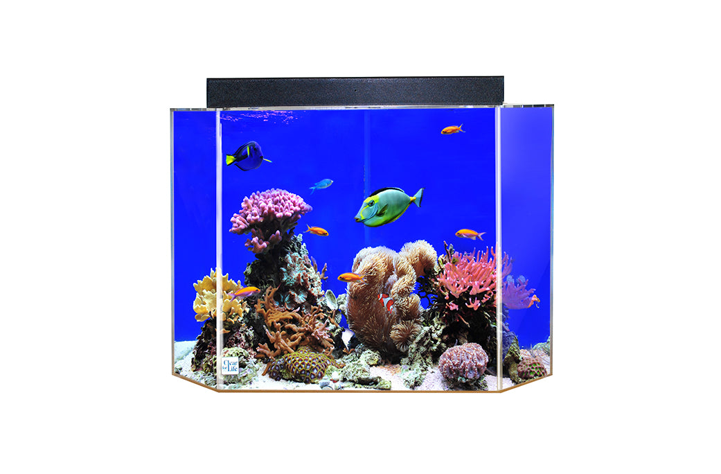 Clear for Life Acrylic Pentagon Aquarium - 30 Gallon – Fish Tank USA